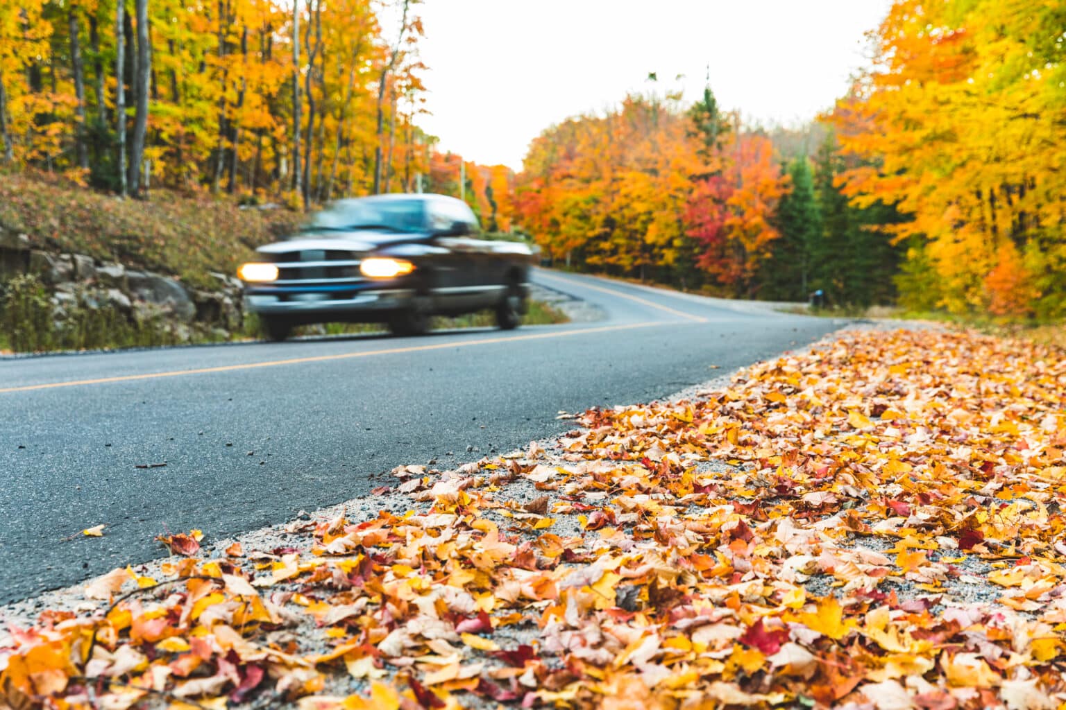 What Are Autumn Safety Hazards to Avoid? | Toronto Law